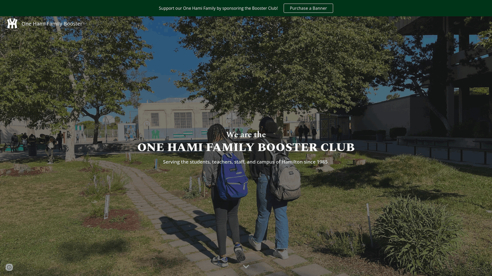 Spike O'Carroll - Portfolio